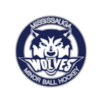 Minors | Ontario Ball Hockey Federation